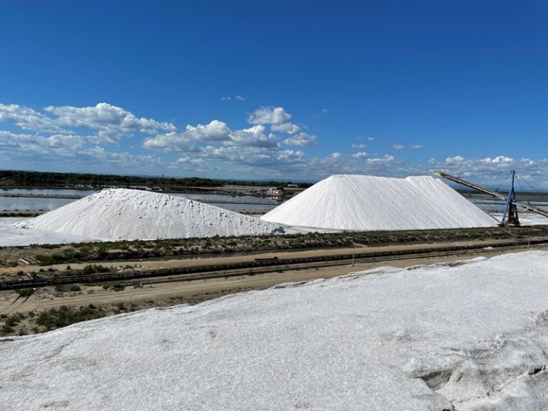 Die Saline von Aigues-Mortes - Typisch Französisch!