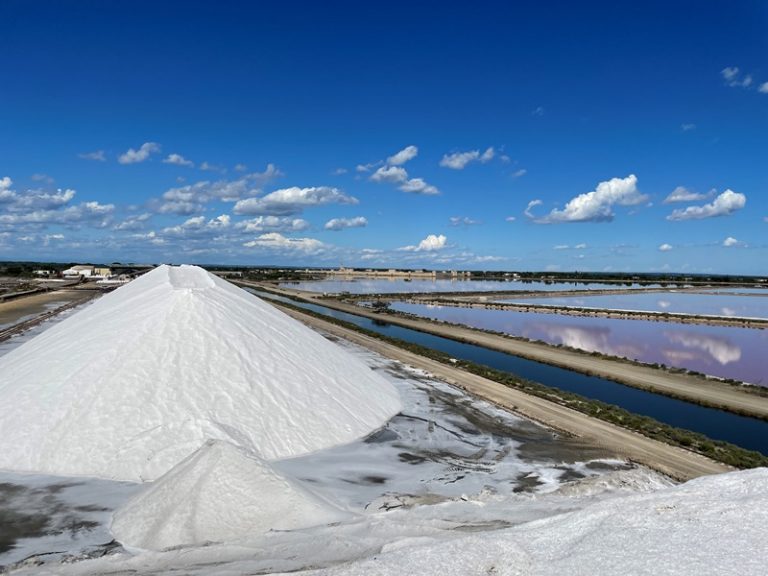 Die Saline von Aigues-Mortes - Typisch Französisch!